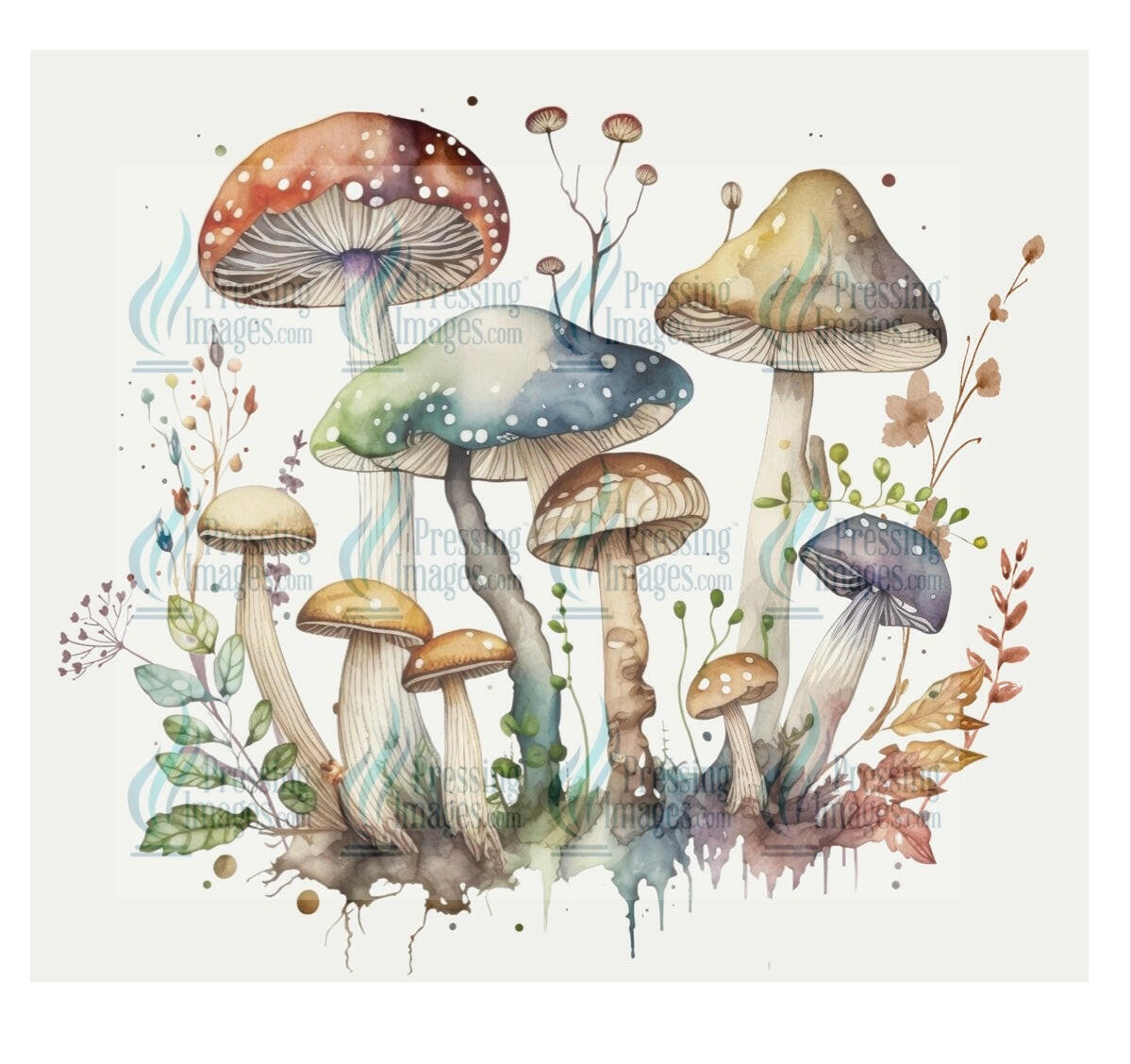 4686 Mushroom – Pressing Images