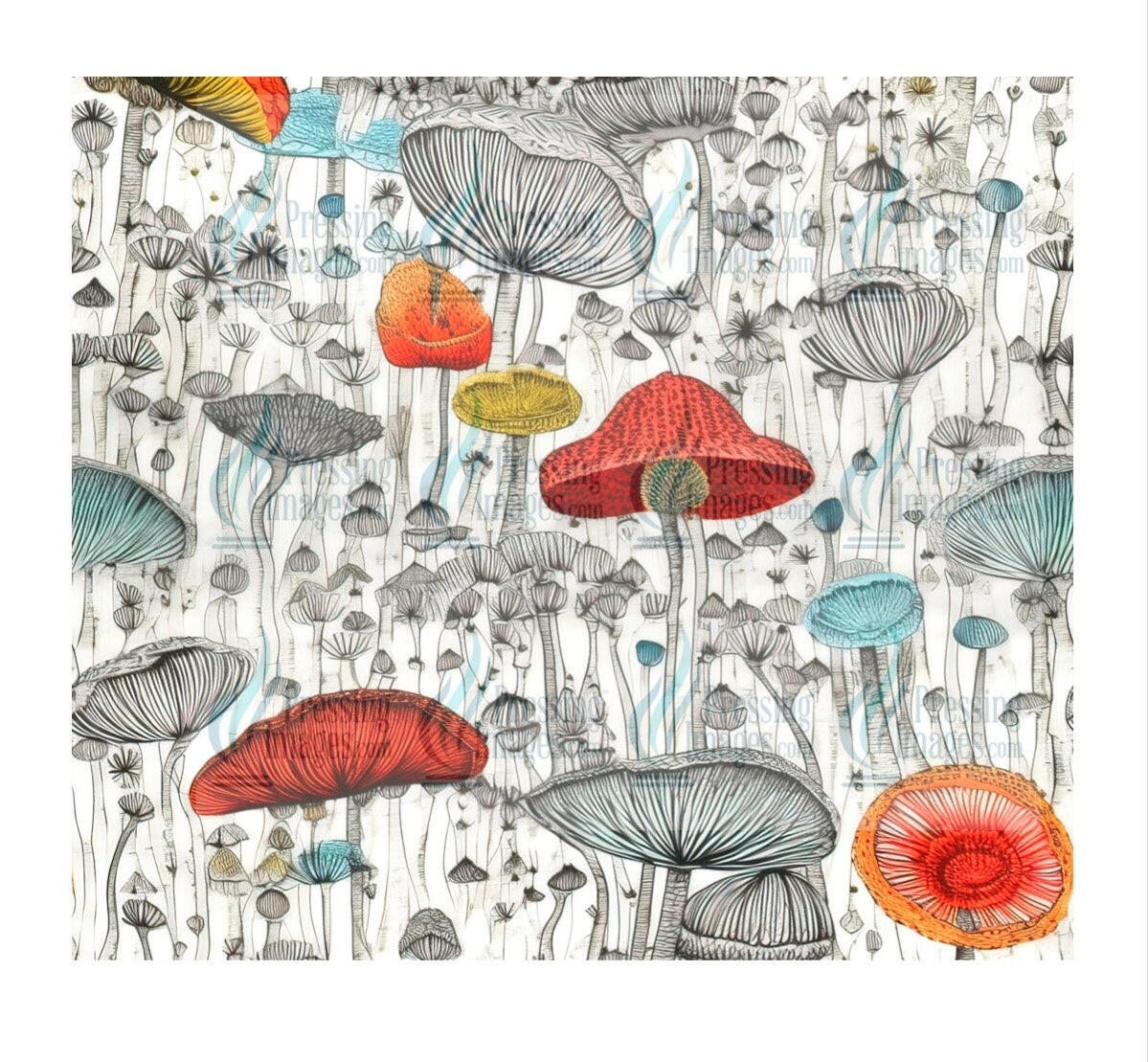 4913 Mushroom tumbler Wrap – Pressing Images