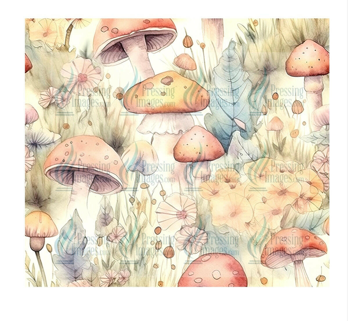 4689 Mushrooms – Pressing Images