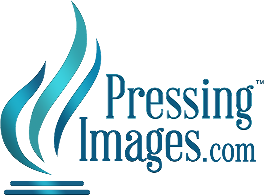 VP 1031 Old West Cattle (Copy) – Pressing Images