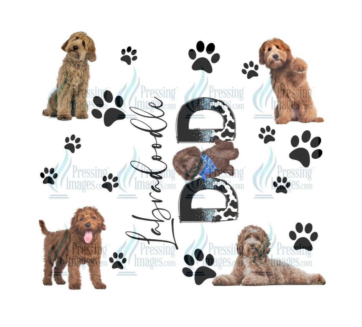 4653 labradoodle dad - Pressing Images